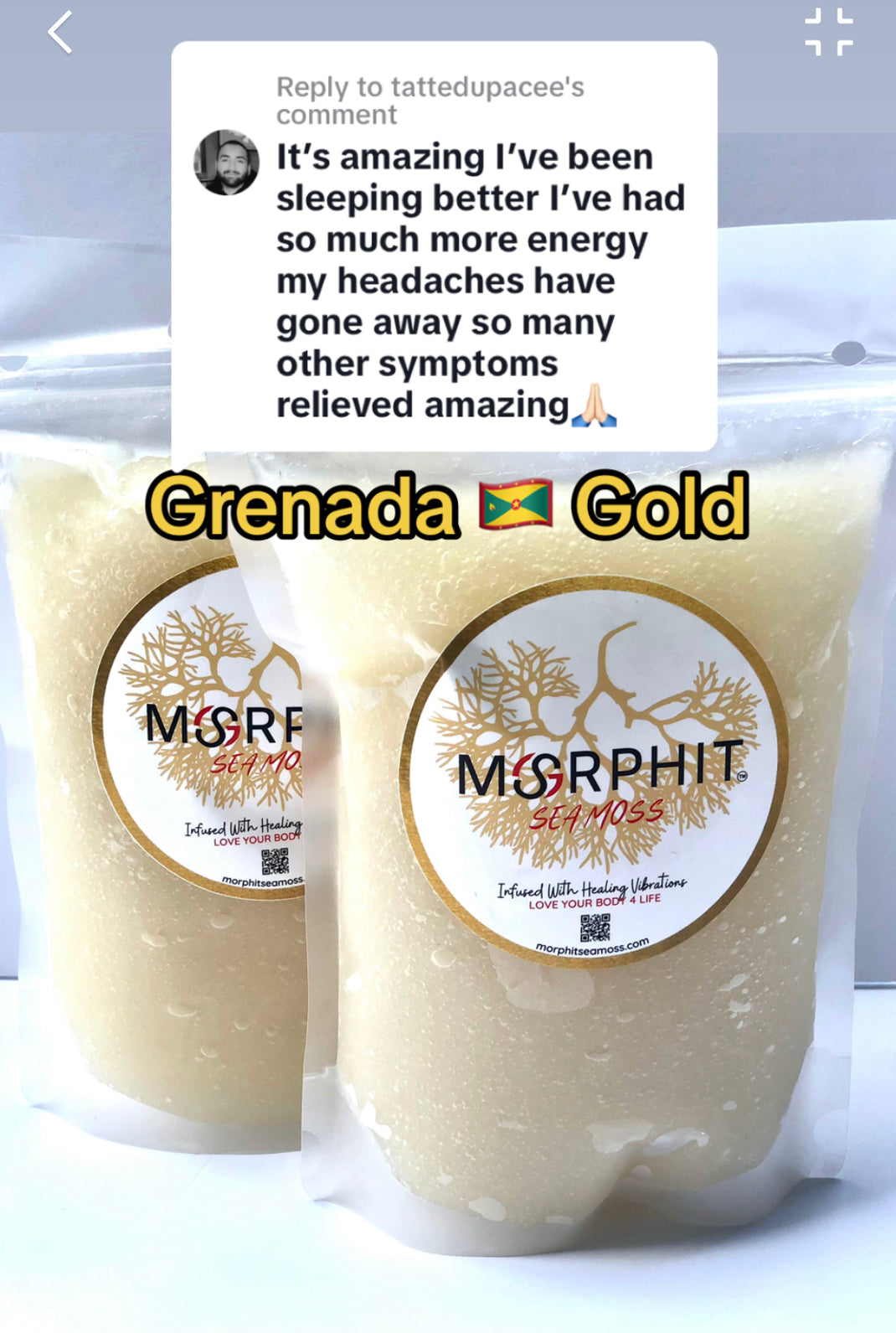 Morphit Sea Moss – MORPHIT SEA MOSS