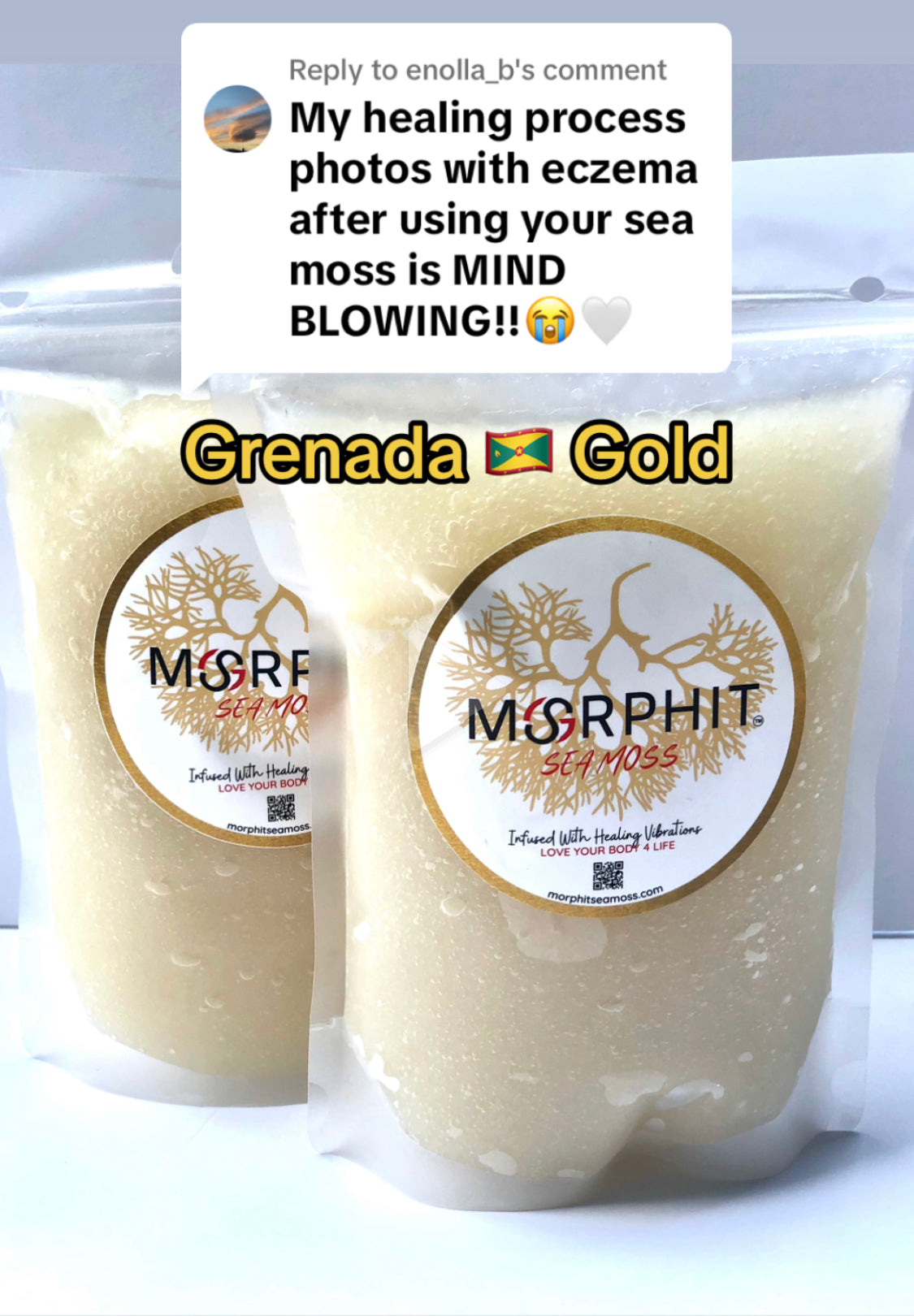 Morphit Sea Moss – MORPHIT SEA MOSS