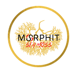 Morphit Sea Moss – MORPHIT SEA MOSS